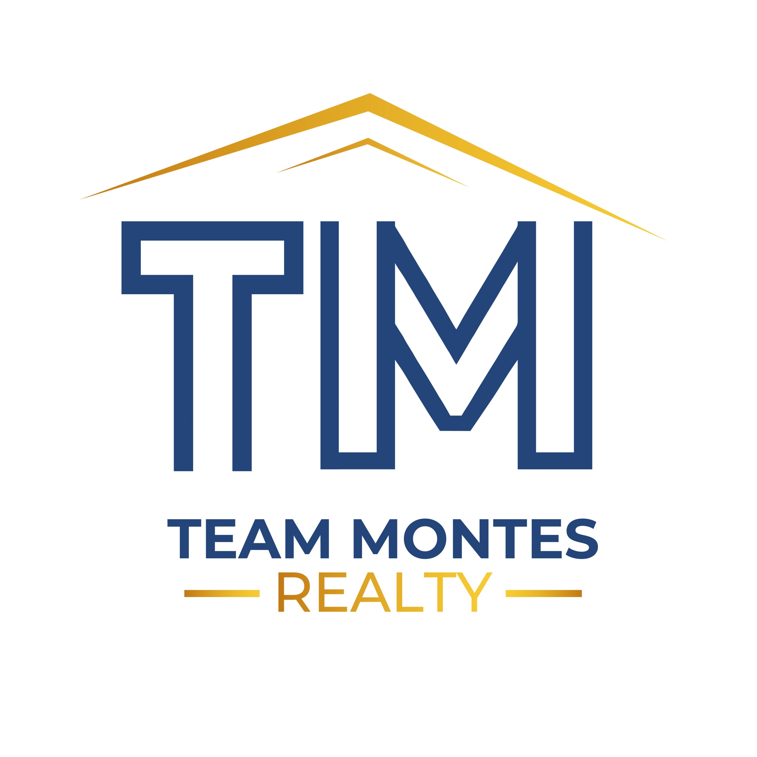 Raydel Aragón - Agente Inmobiliario Equipo Team Montes Realt